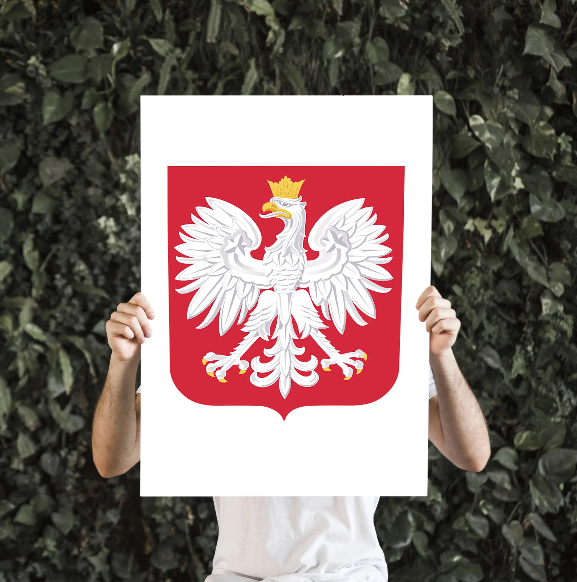 Fotoboard na piance 5 mm Godło Polski tabliczka na piance dibond ...